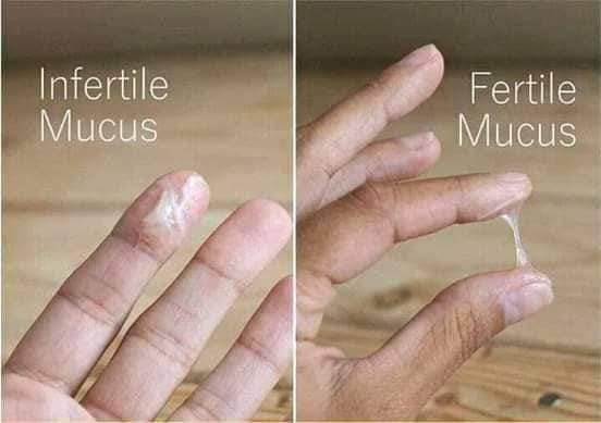 malawi women – FertileFlow